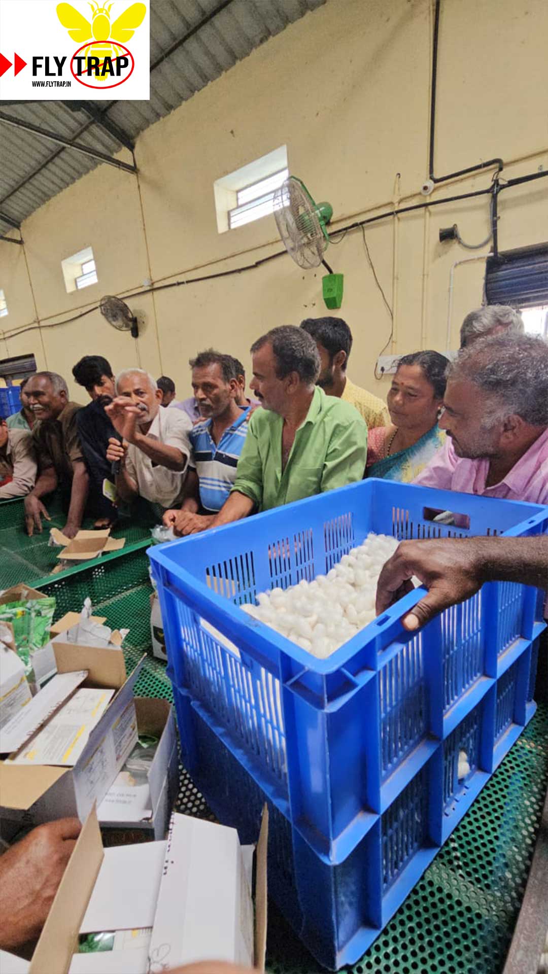 Sericulture Farmer Interaction at Government Cocoon Market Mysuru - FlyTrap
