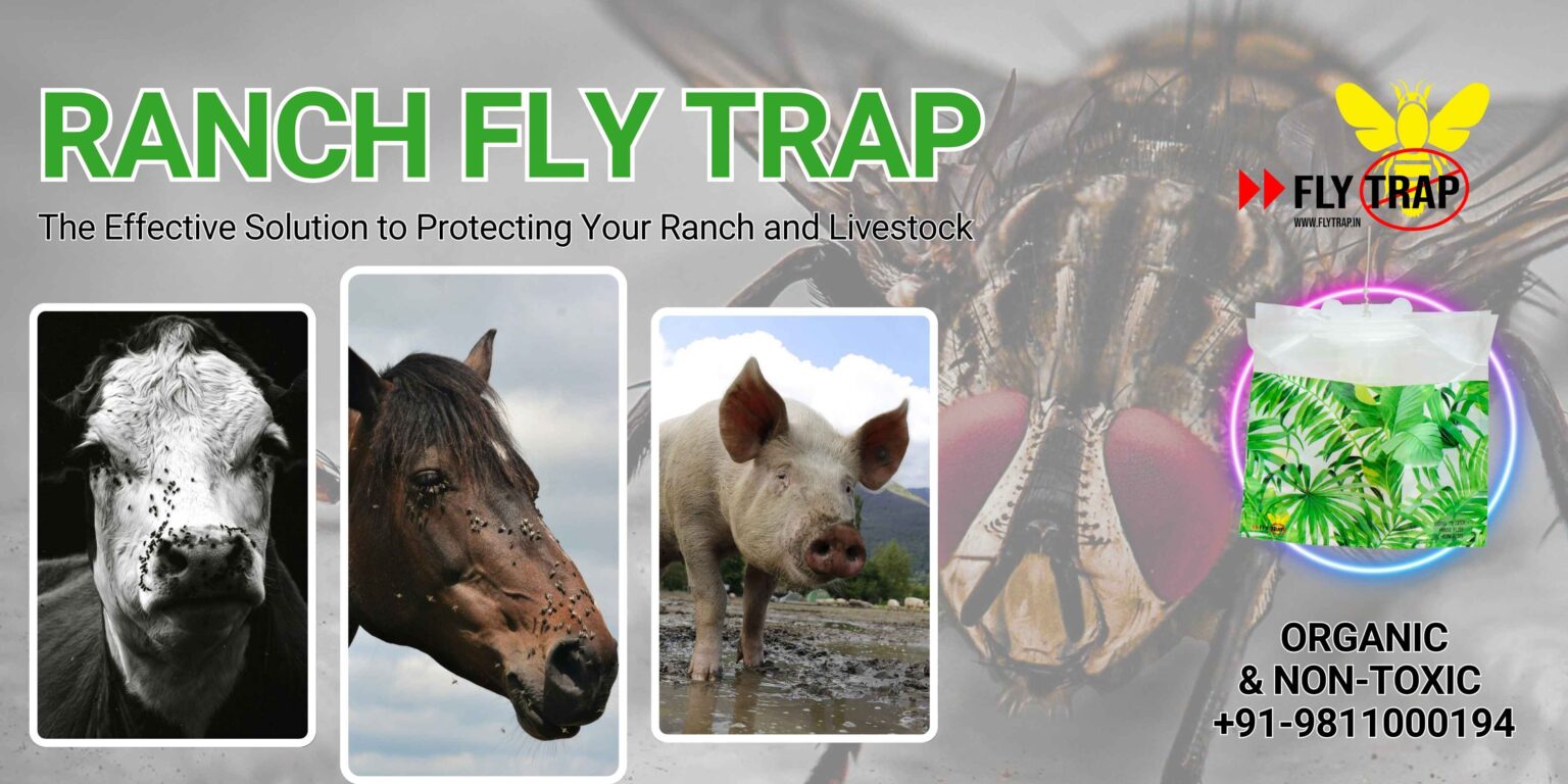 Ranch Fly Trap: The Effective Solution to Protecting Your Livestock ...
